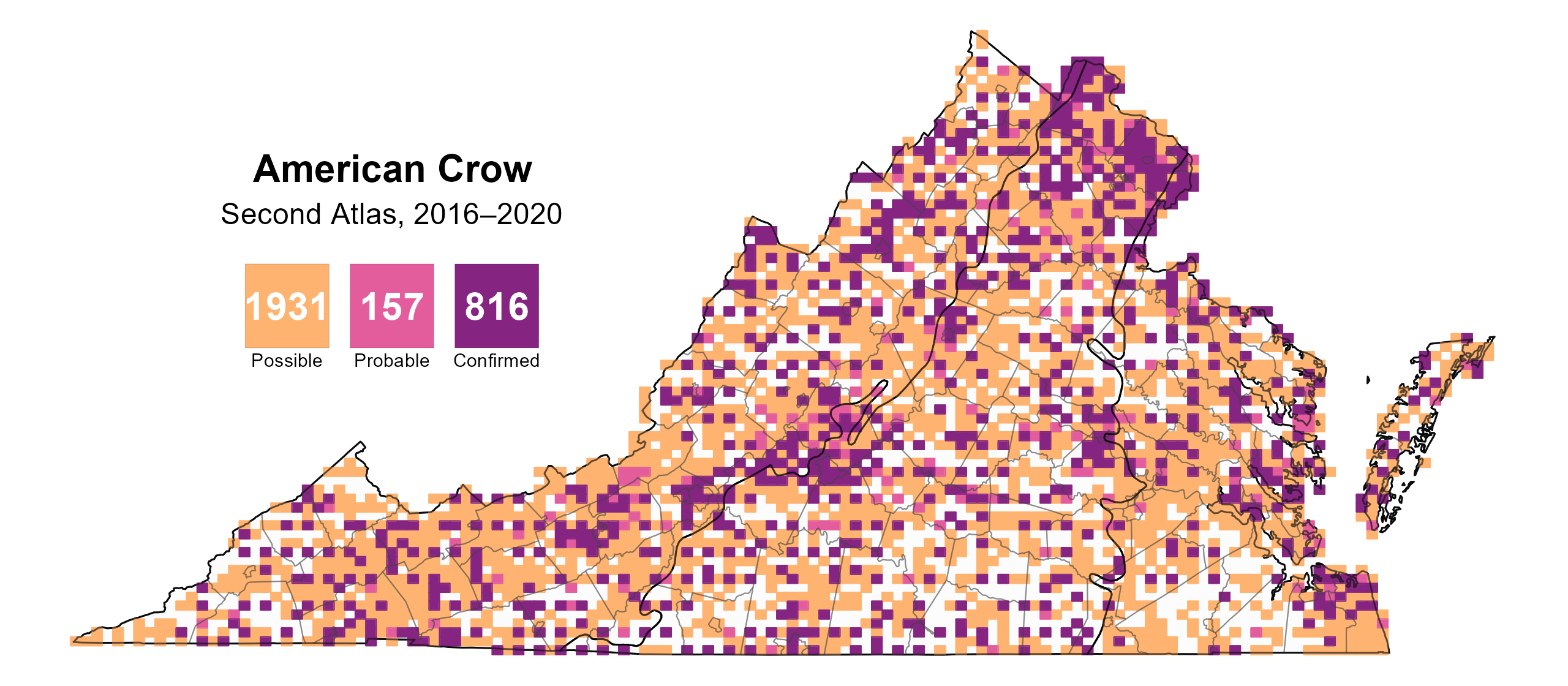 American Crow - Virginia Bird Atlas