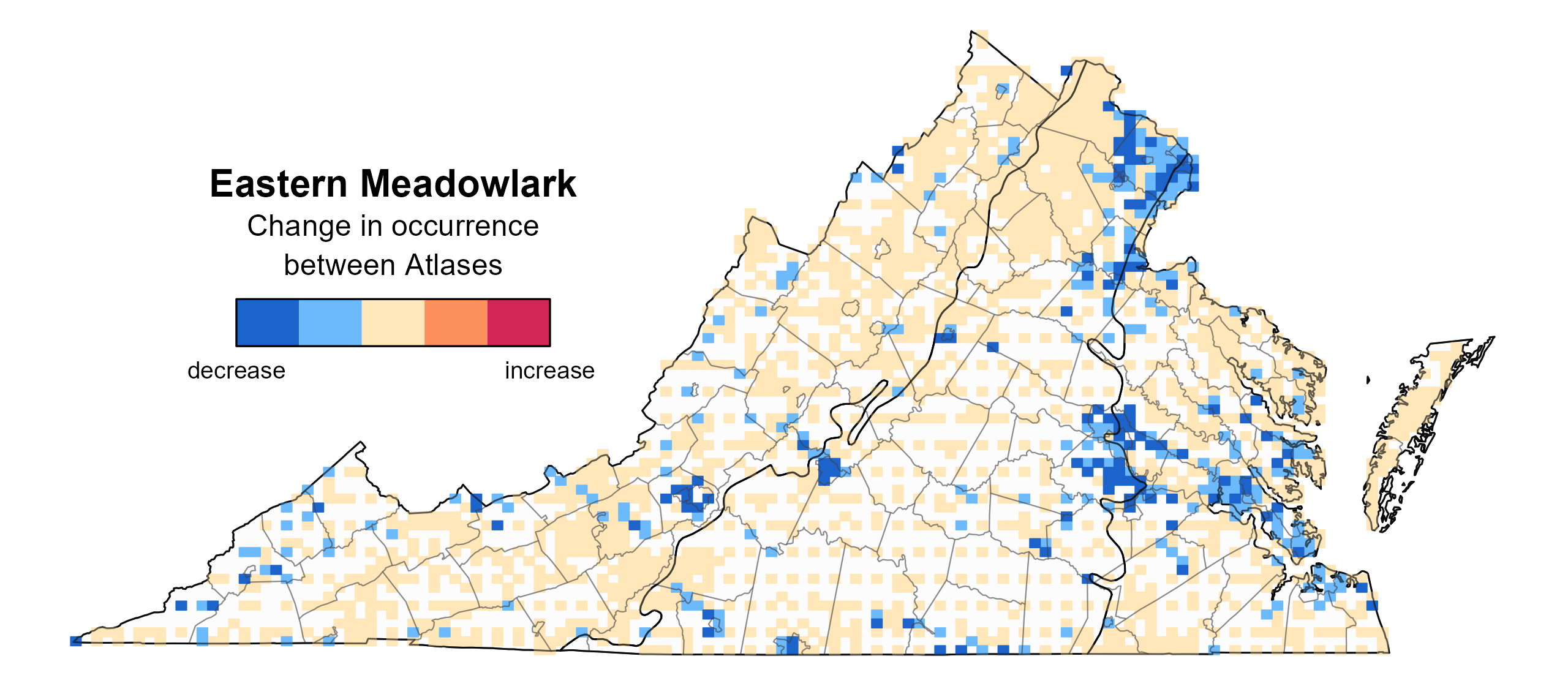 Eastern Meadowlark - Virginia Bird Atlas